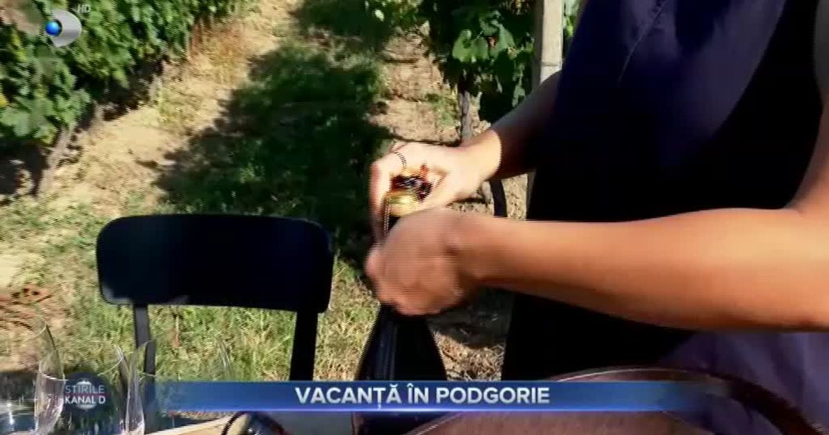 VIDEO - Vacanță în podgorie. Turiștii pot lua parte la culesul ...