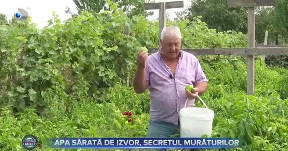 VIDEO- Apa sărată de izvor, secretul murăturilor. Este un întreg proces ...