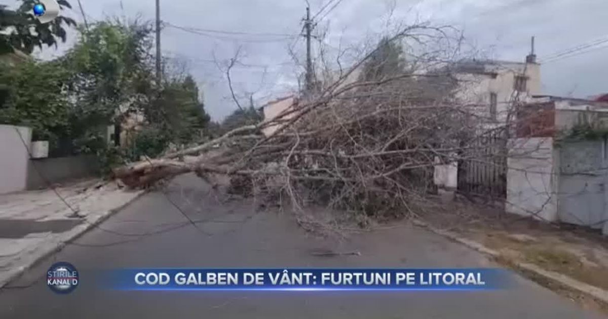VIDEO - România a fost sub cod galben de vânt puternic. Patru case au ...
