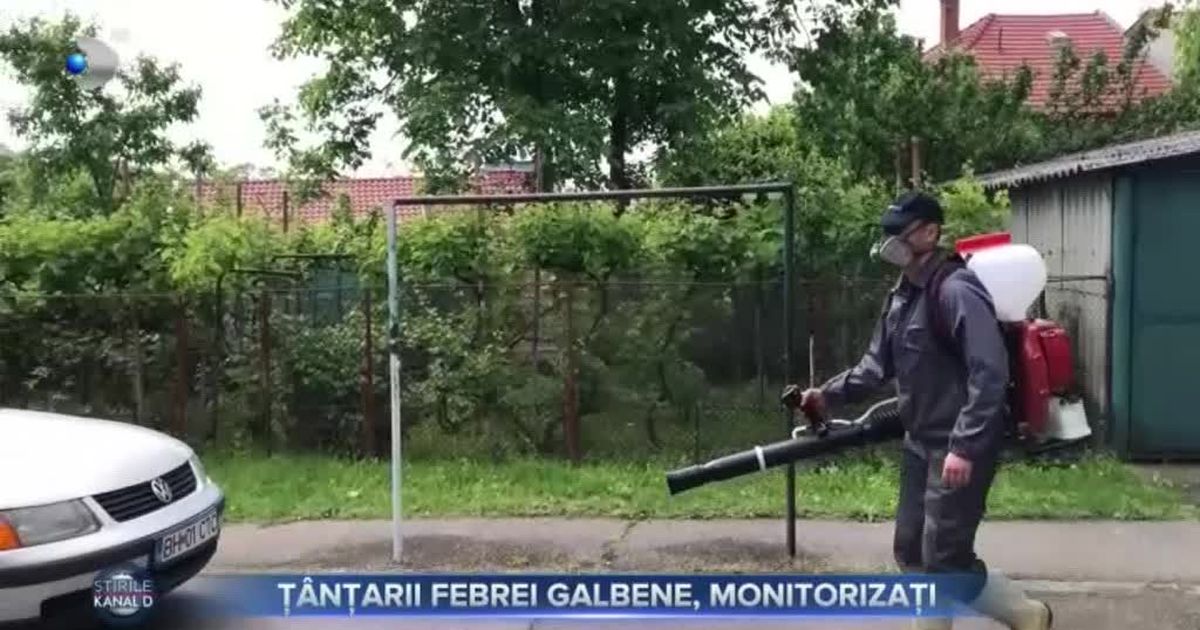 VIDEO- Țânțarii febrei galbene, monitorizați de Insitutul Cantacuzino ...