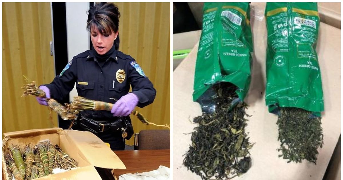 Ce este khat, noul drog periculos adus din Africa și depistat pentru ...