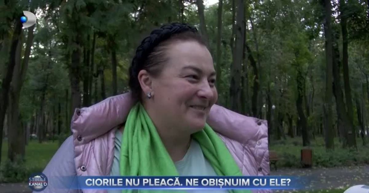VIDEO- Ciorile nu pleacă. Ne obișnuim cu ele. Cetățenii se plâng din ce în ce mai mult - Stirile ...