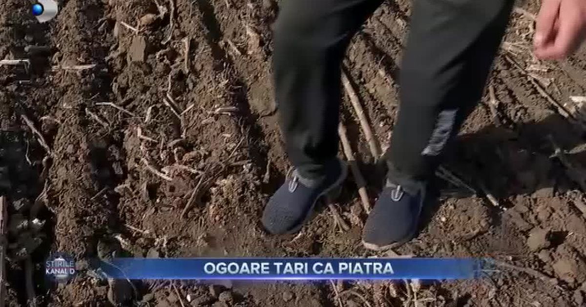 VIDEO- Ogoare tari ca piatra. În sudul României asistăm la un proces de ...