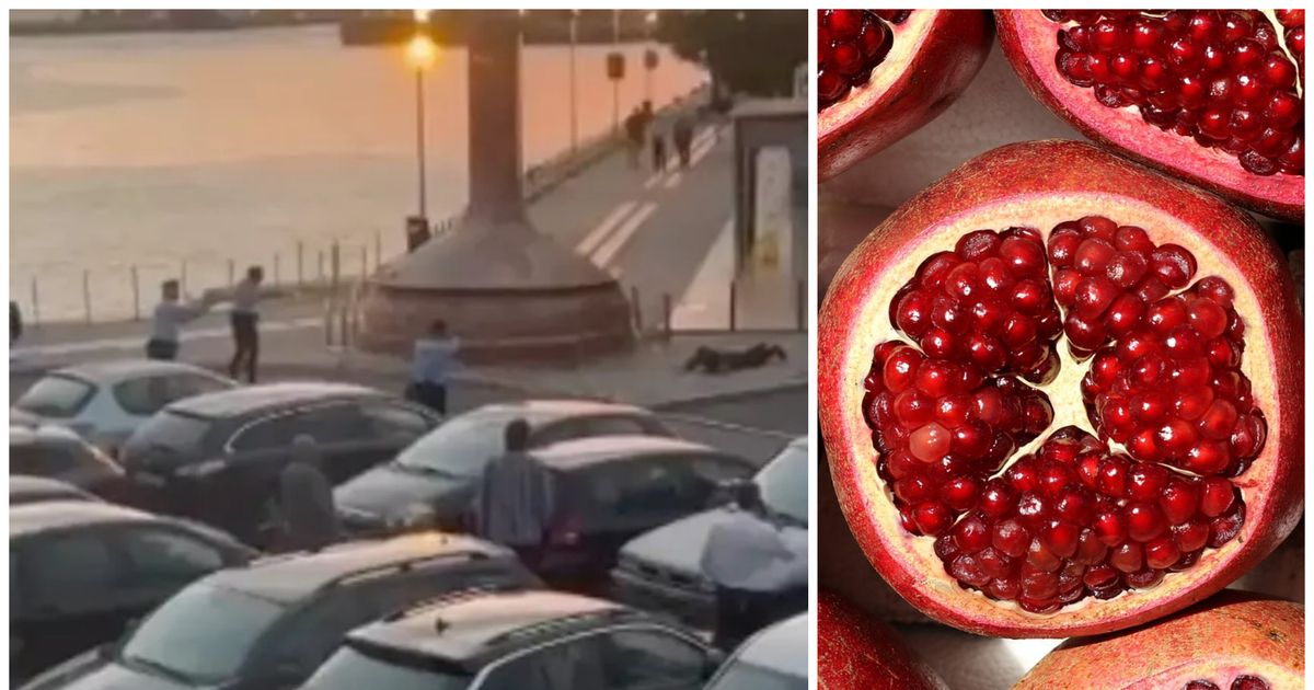 Un turist a fost săltat de antitero, după ce a confundat o rodie cu o ...