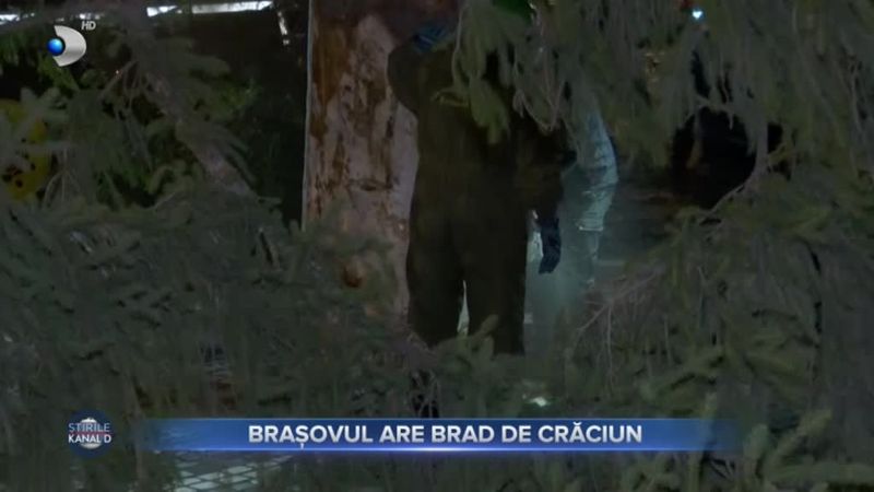 VIDEO - Brașovul se pregătește pentru sărbătorile de iarnă. Bradul de ...