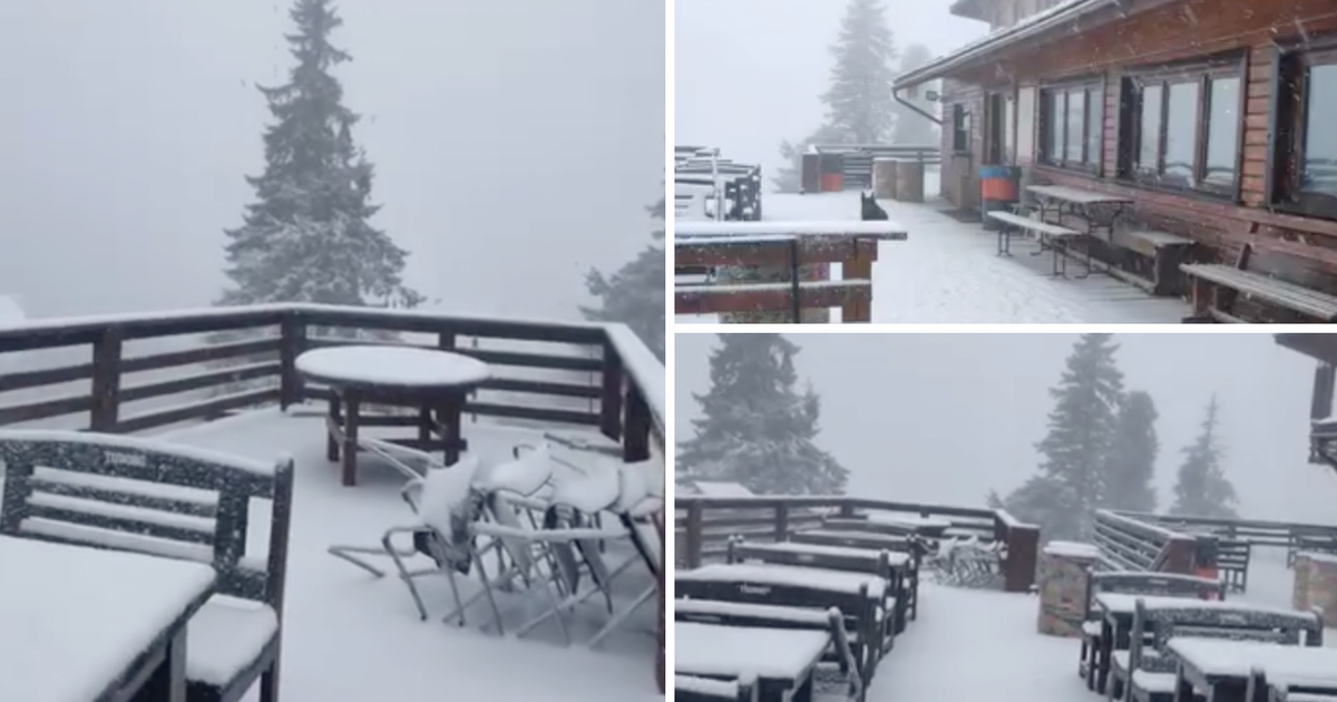 Peisaj de iarnă în masivul Postăvarul. La munte, meteorologii anunță ...