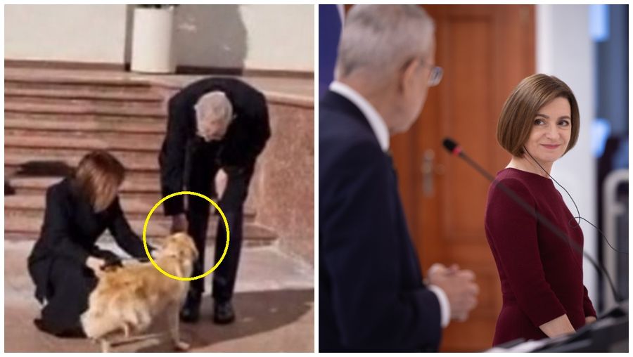 VIDEO. Codruț, câinele Maiei Sandu, l-a mușcat pe președintele unei ...