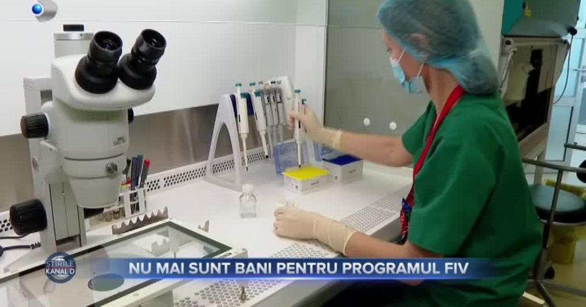 VIDEO - Mii de cupluri rămân fără sprijin financiar de la Guvern. Nu ...