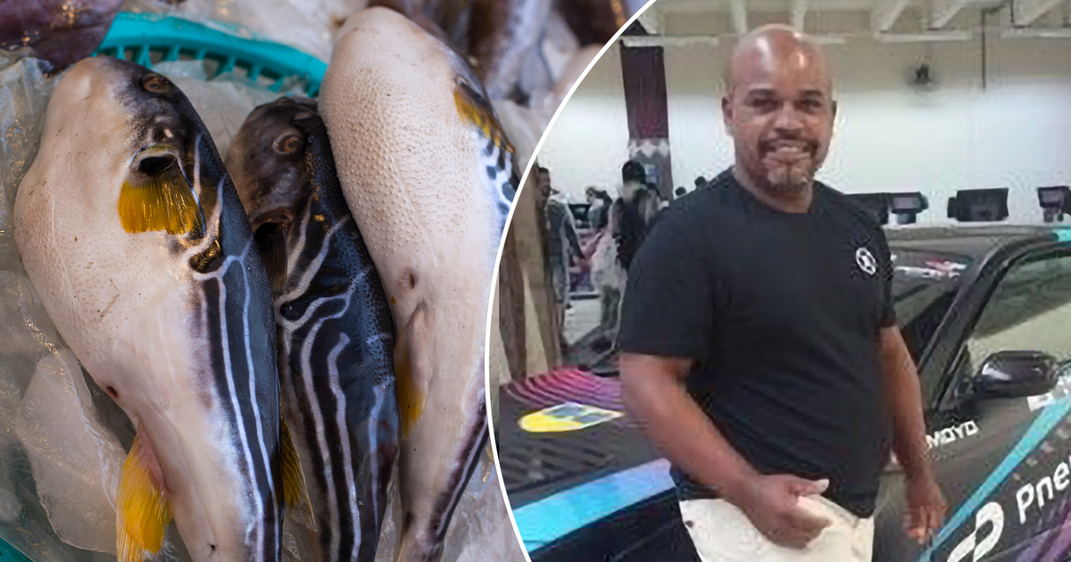 Un bărbat a murit după ce a mâncat un pește balon, de 1.000 de ori mai ...