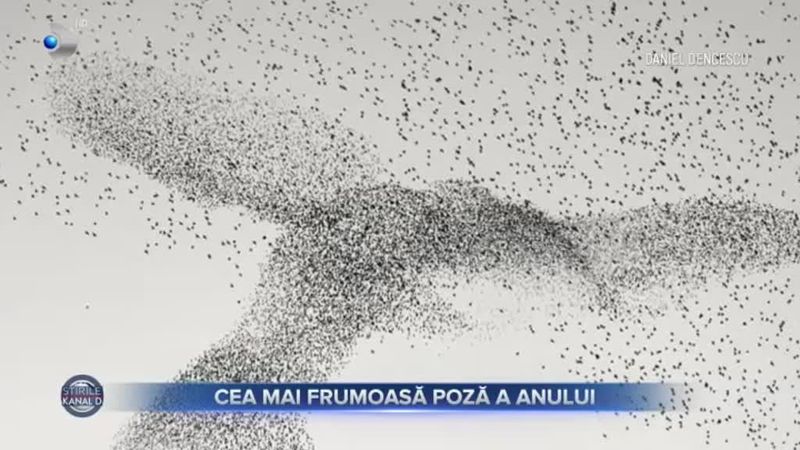 VIDEO - A fost aleasă cea mai frumoasă poză a anului! Fotografia ...