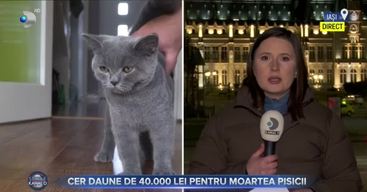 VIDEO - O familie din județul Iași a dat în judecată primăria pe care o ...