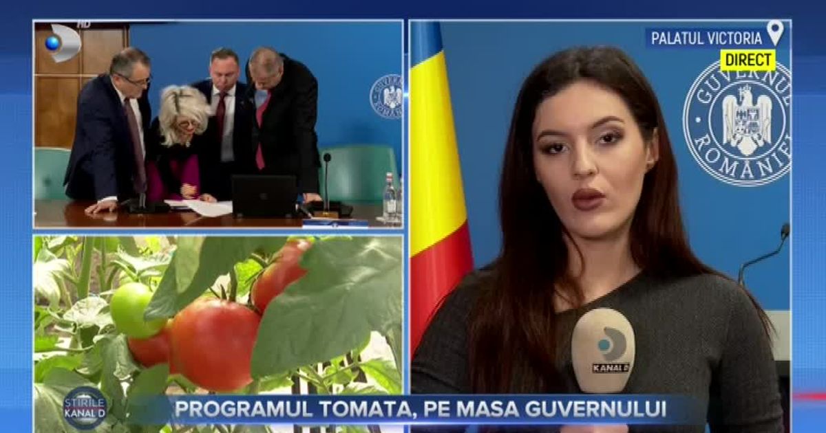 VIDEO - Programul Tomata, pe masa Guvernului. Ce sume pot încasa legumicultorii în acest an ...