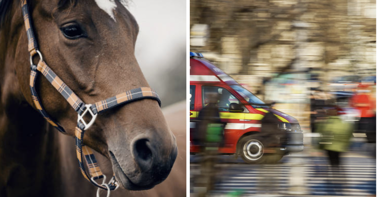 Copil în vârstă de 14 ani, din Vaslui, transportat de urgență la spital ...