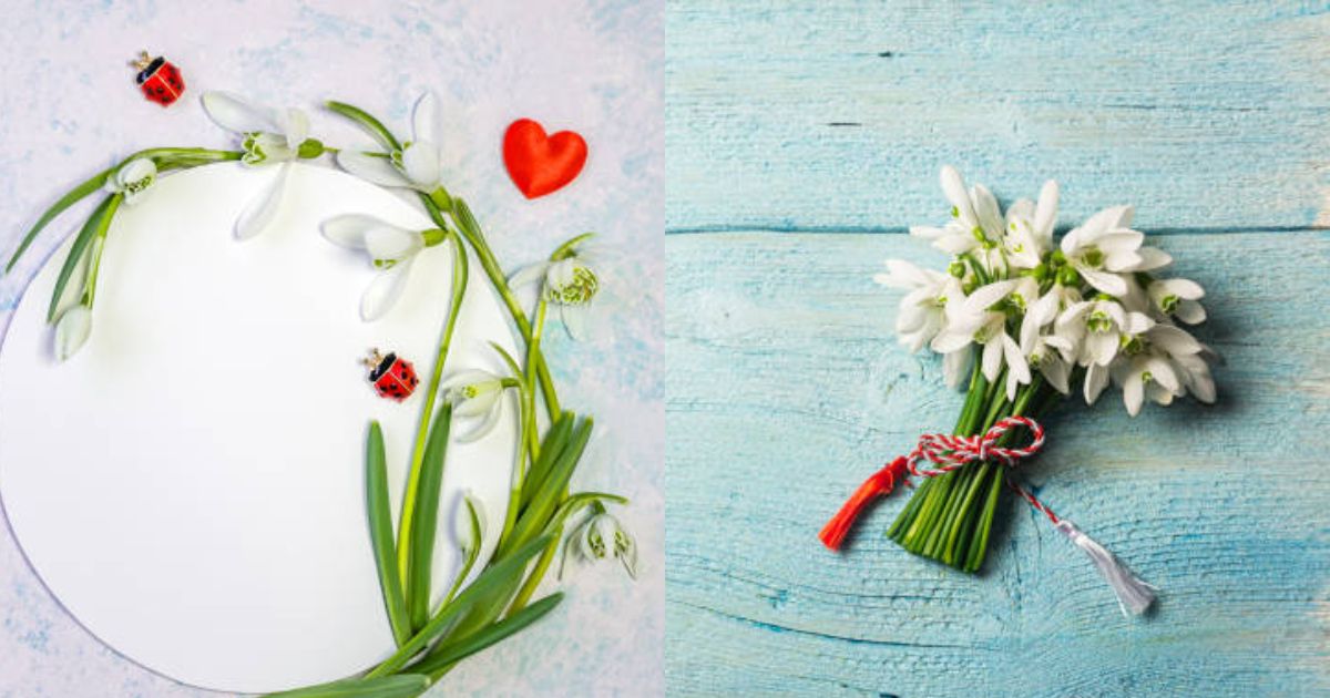 Prima zi de primăvară din 2024: Mesaje frumoase pentru 1 Martie și ...