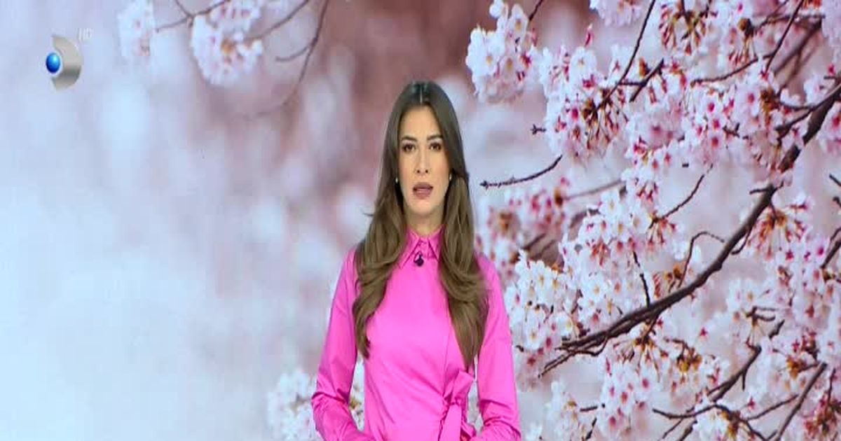 VIDEO: VIDEO - Au înflorit cireșii de pe Aleea Iubirii din Timișoara ...