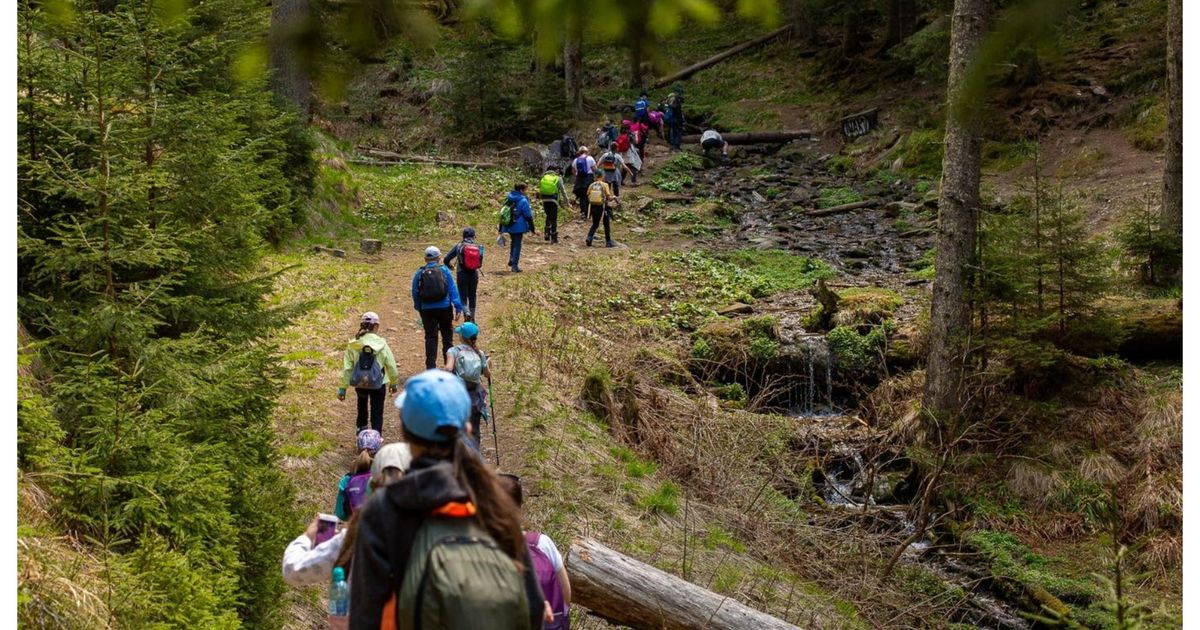 Un colț de rai unde mulți și-ar dori să ajungă! Poteca din Păltiniș ...