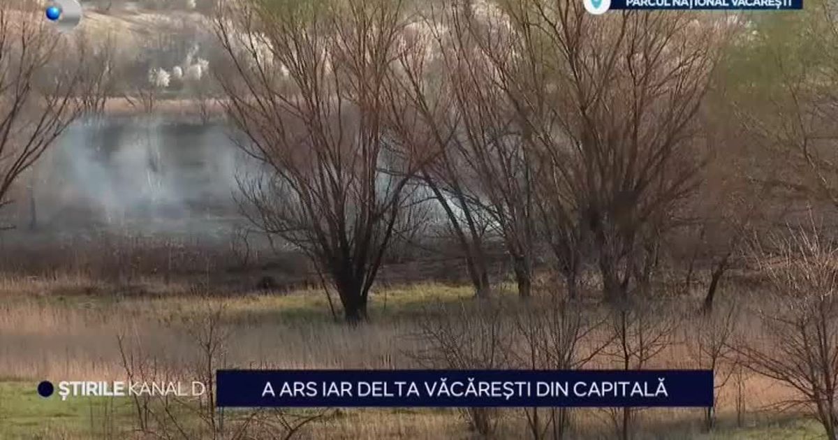 VIDEO-Delta Văcărești din Capitală, cuprinsă din nou de flăcări ...
