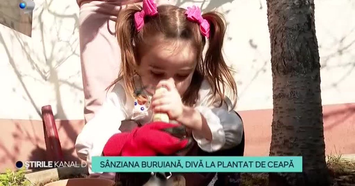 VIDEO-Sânziana Buruiană, divă la plantat de ceapă. A uimit pe toată ...