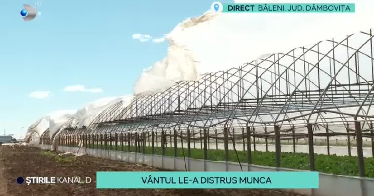 VIDEO - Vântul le-a distrus munca localnicilor din Dâmbovița! Solariile ...