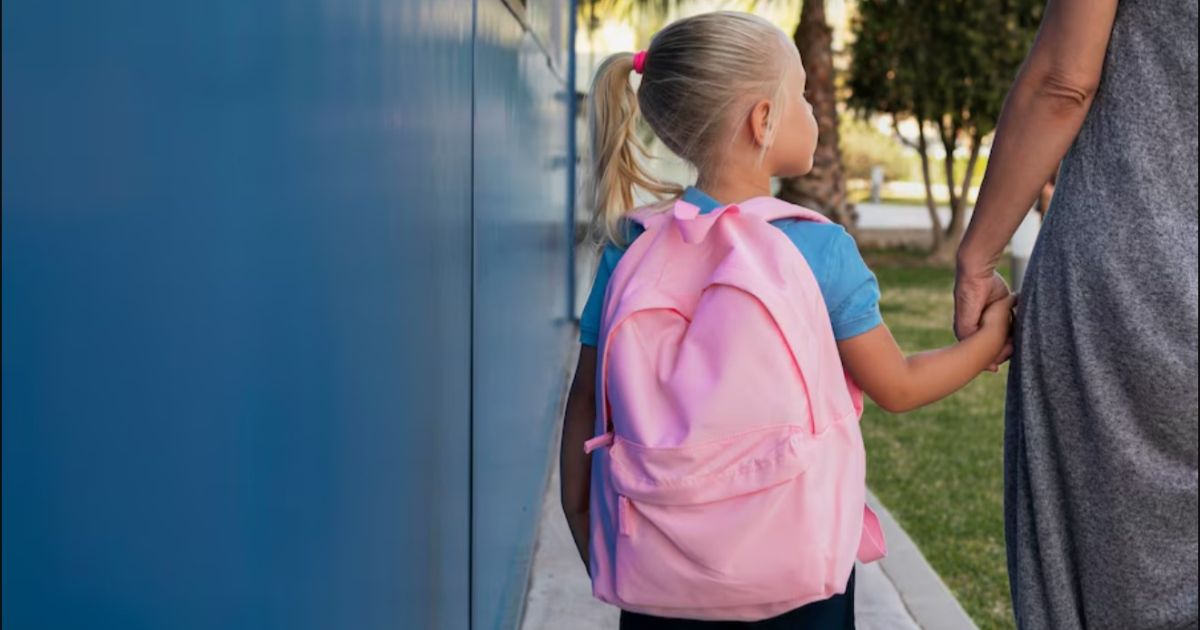 Înscrieri în clasa zero pentru anul școlar 2024 - 2025: Tot ce trebui e ...