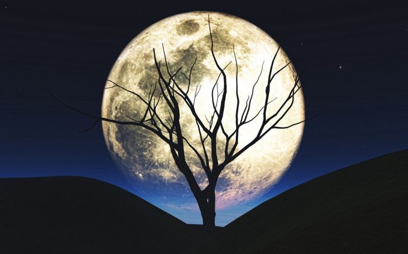 Fazele lunii în mai 2024: Când vom avea Luna Plină și Luna Nouă ...