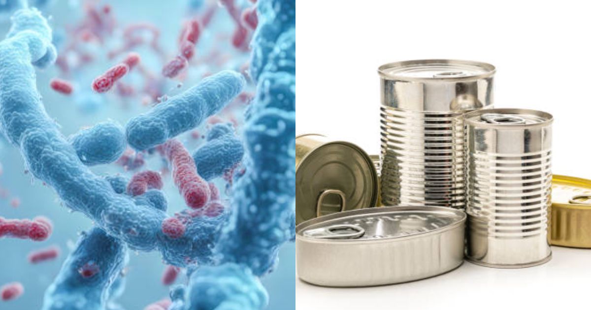 Ce este, de fapt, botulismul? Sfaturi esențiale pentru recunoașterea ...