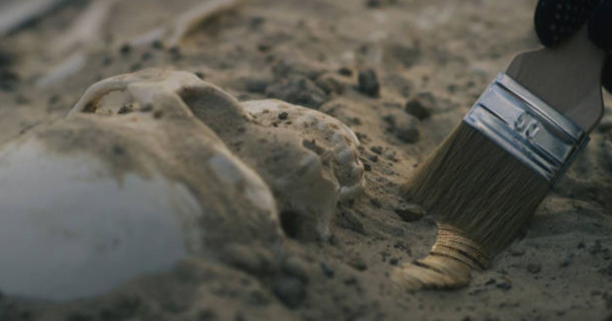 "Sunt urme de sicriu". Descoperire șocantă în curtea Spitalului Vaslui ...