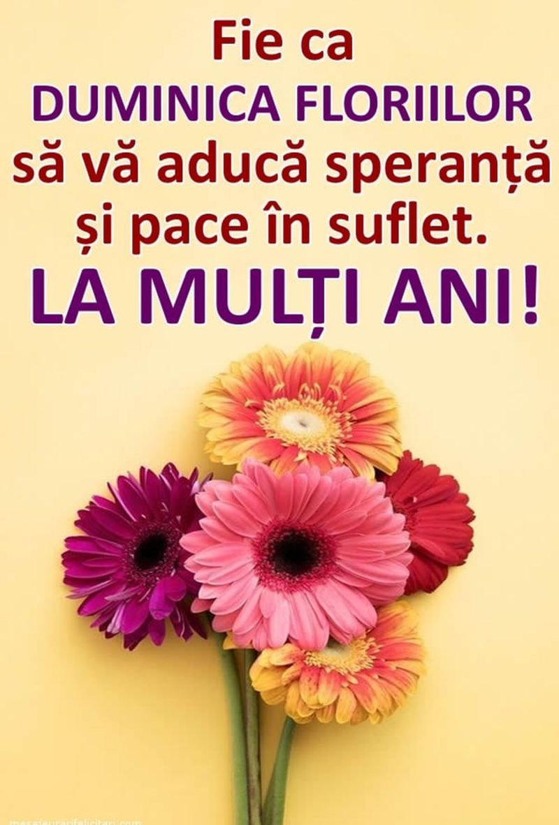 Urări de Florii pentru 2024: „În această zi de sărbătoare îți doresc să ...