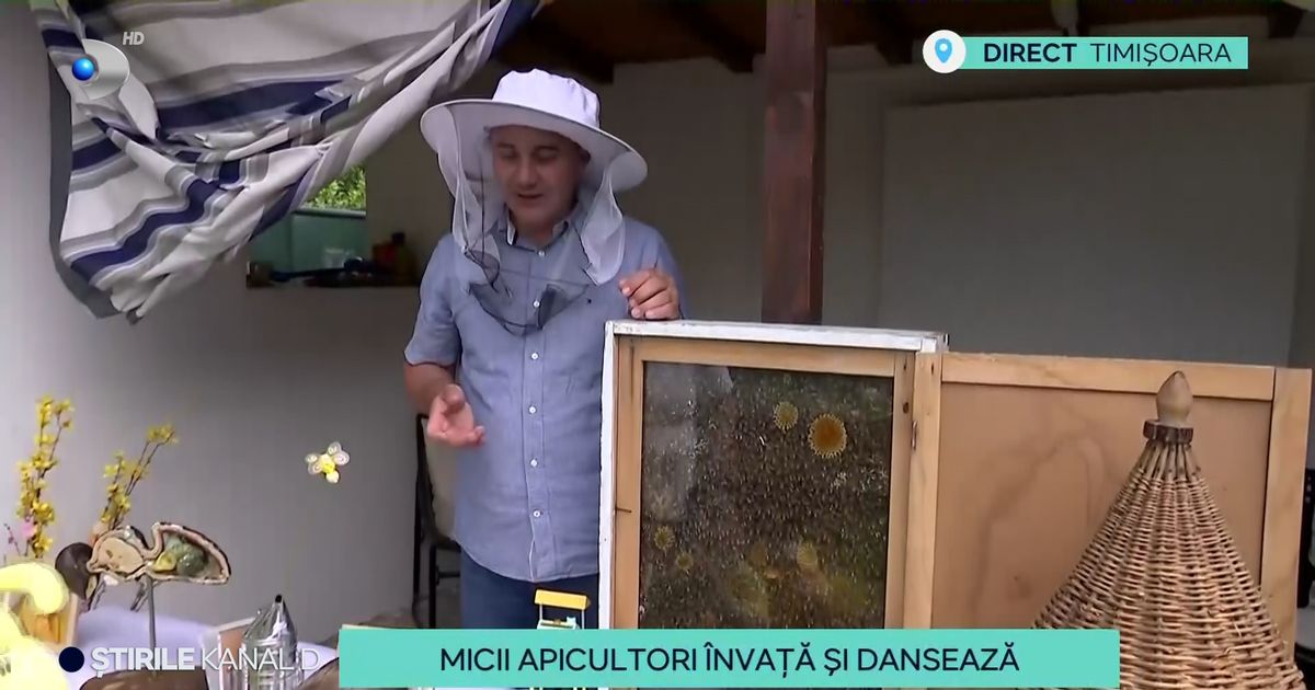 VIDEO Micii apicultori învață și dansează! Copiii de la o grădiniță din ...