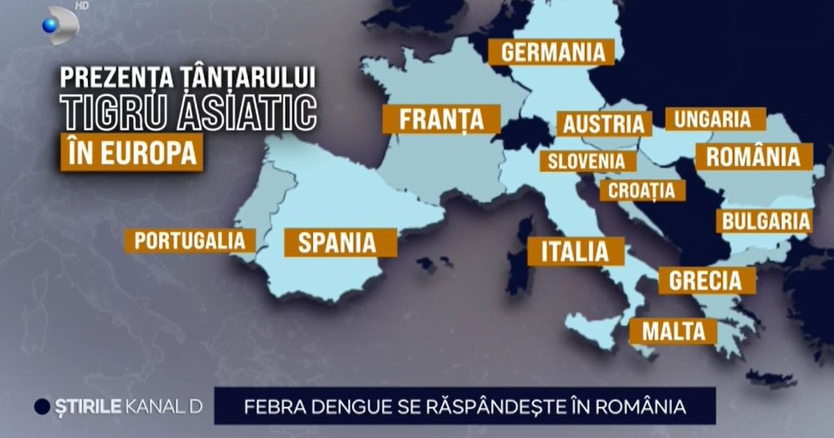 VIDEO Febra dengue se răspândește din ce în ce mai mult și în România ...