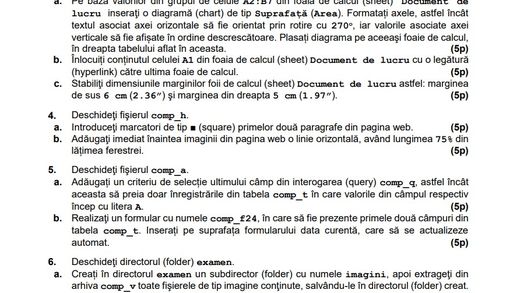 Subiecte competențe digitale BAC 2024: Cerințele din testele primite de ...