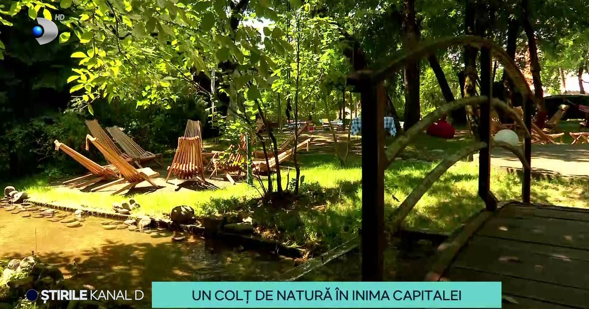 VIDEO Un colț de natură în inima Bucureștiului! Oamenii se pot bucura ...
