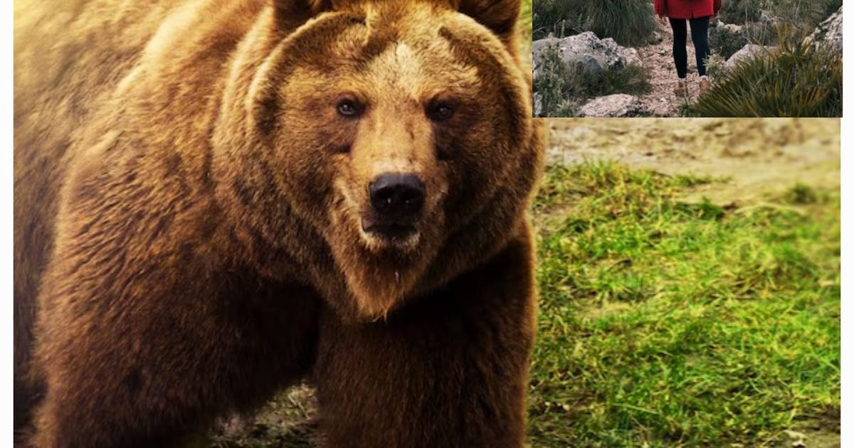 Cine este tânăra ucisă de urs, în Bușteni. Maria s-a stins din viață la ...