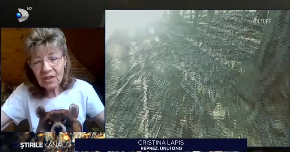 VIDEO Controversă națională: urșii, în bătaia puștii. Ce spun mai marii ...