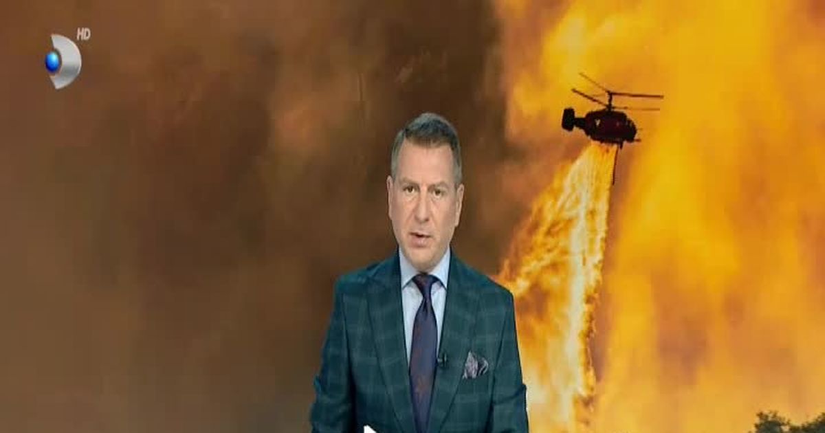 VIDEO: VIDEO Incendii masive, alertă de grad zero. Pădurea din ...