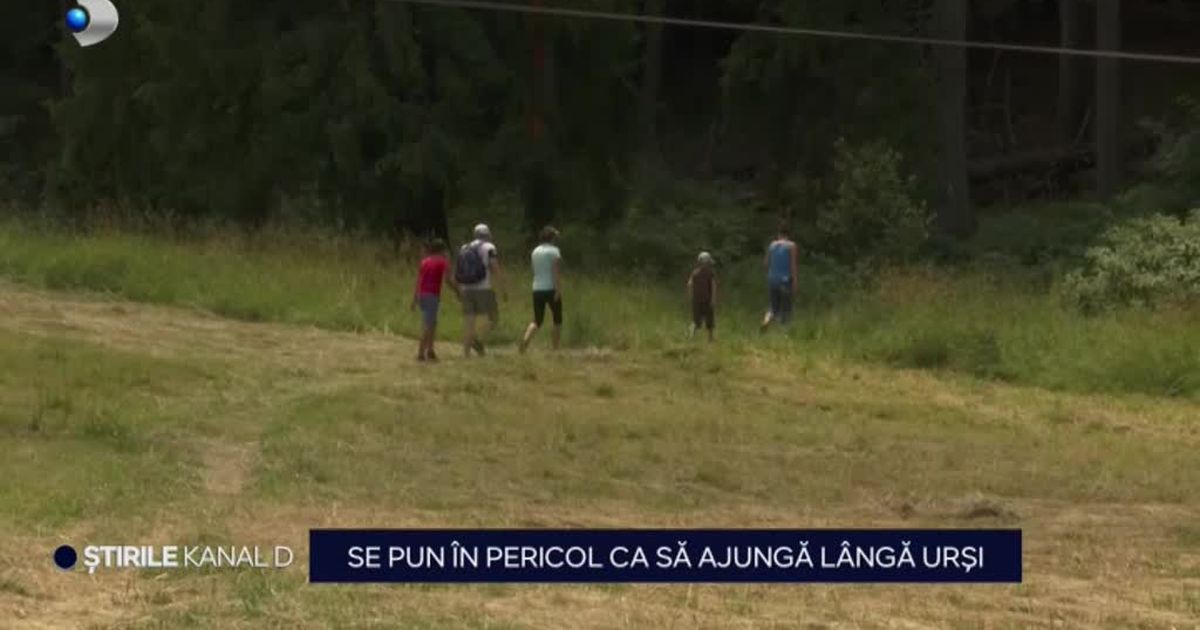 VIDEO Își pun viața în pericol pentru adrenalină. Oamenii caută urșii ...