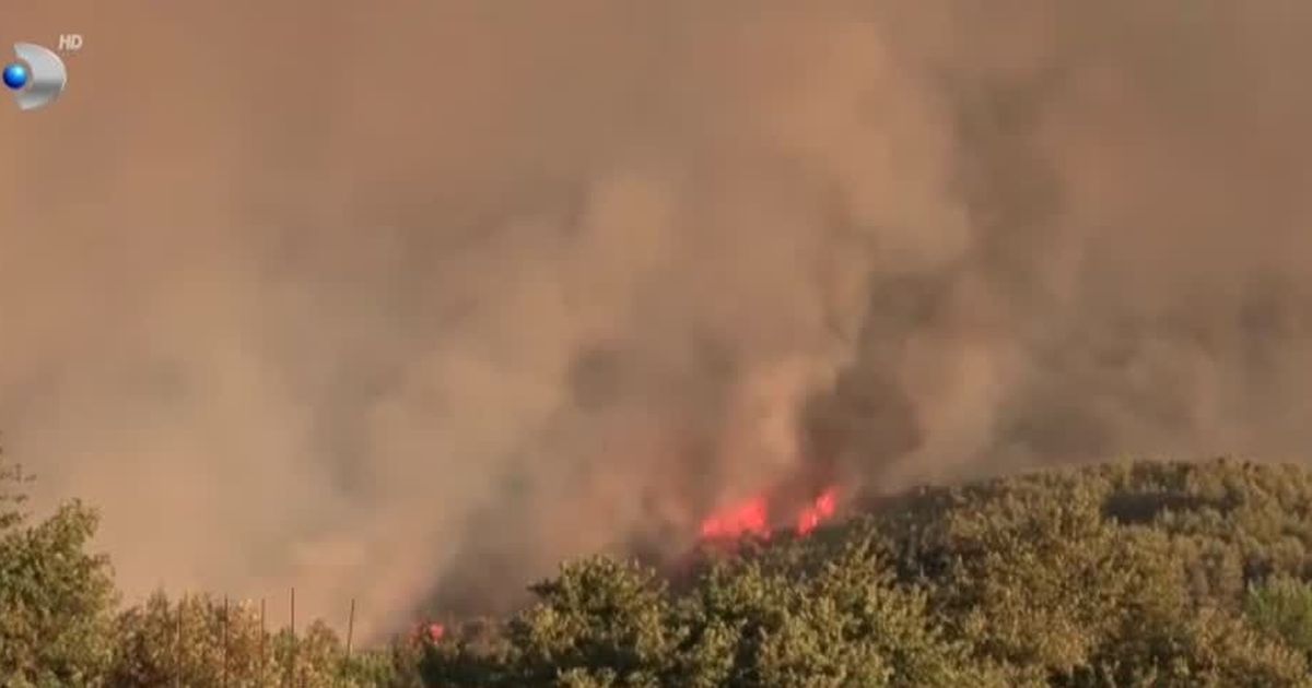VIDEO Grecia se luptă cu focul! Incendiu masiv în apropiere de Atena ...