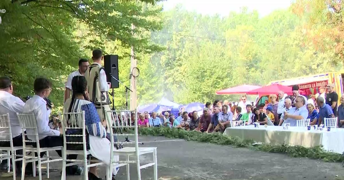 VIDEO Petrecere câmpenească: de toate, pentru toți! Mulți români au ...
