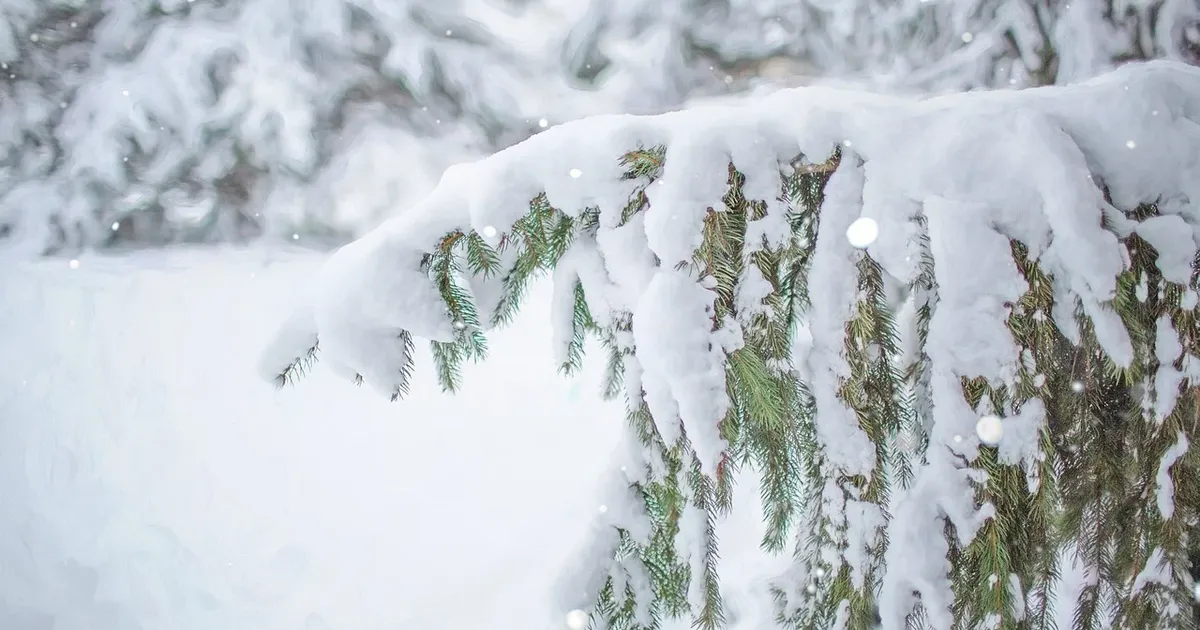 Vine iarna în România! Unde va ninge în weekend - Stirile Kanal D