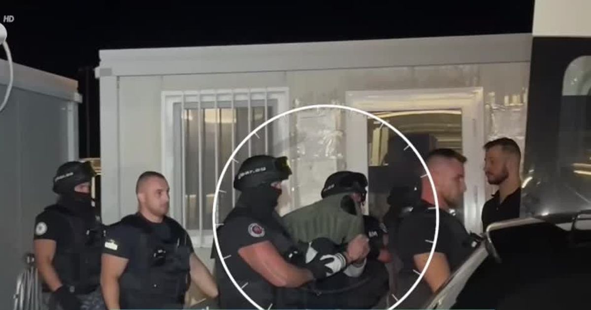 VIDEO Unul dintre cei mai căutați criminali români, prins în Germania. Romică Fleican era căutat ...