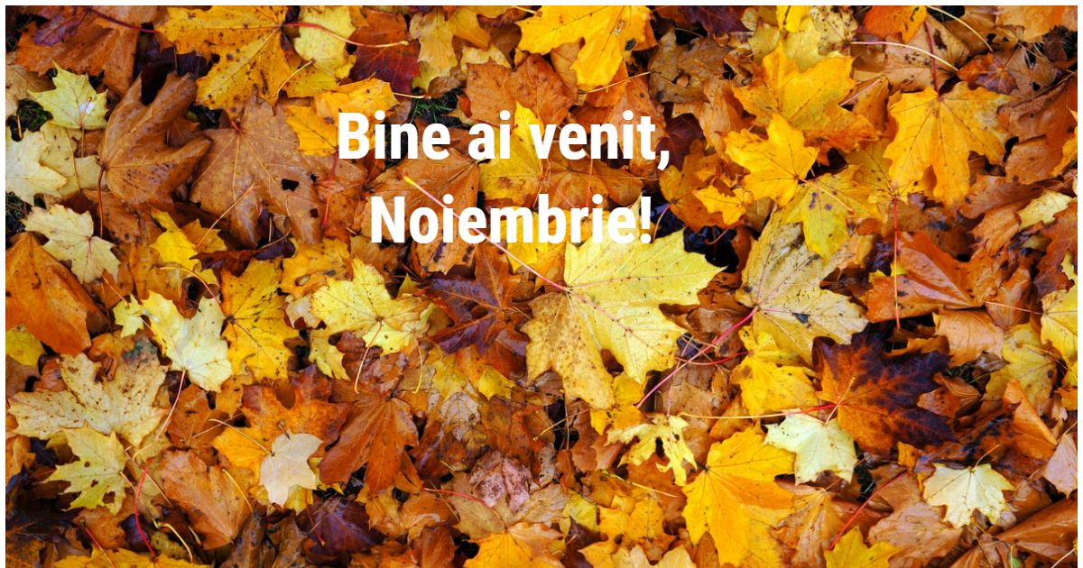 Mesaje de 1 noiembrie 2024: Urări frumoase pentru ultima lună de toamnă ...