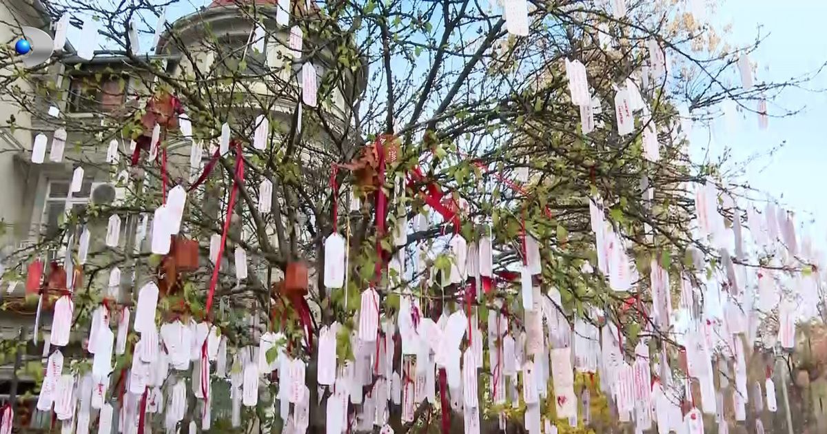 VIDEO „Toată lumea era plină de speranță”. Copacul unde dorințele prind ...