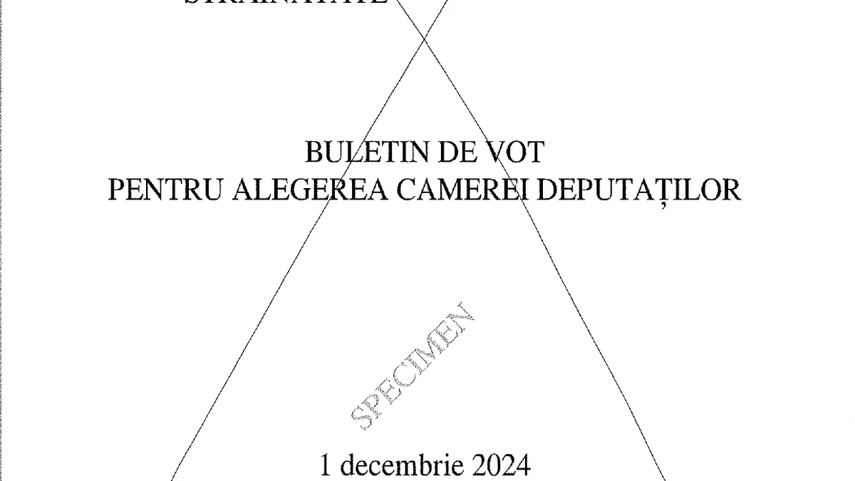Buletin vot parlamentare 2024 Diaspora: Lista candidaților și ...