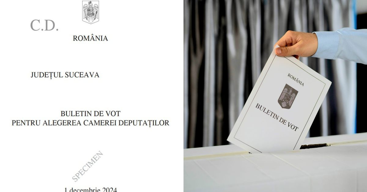 Buletin vot alegeri parlamentare 2024 Suceava - Camera Deputaților și ...