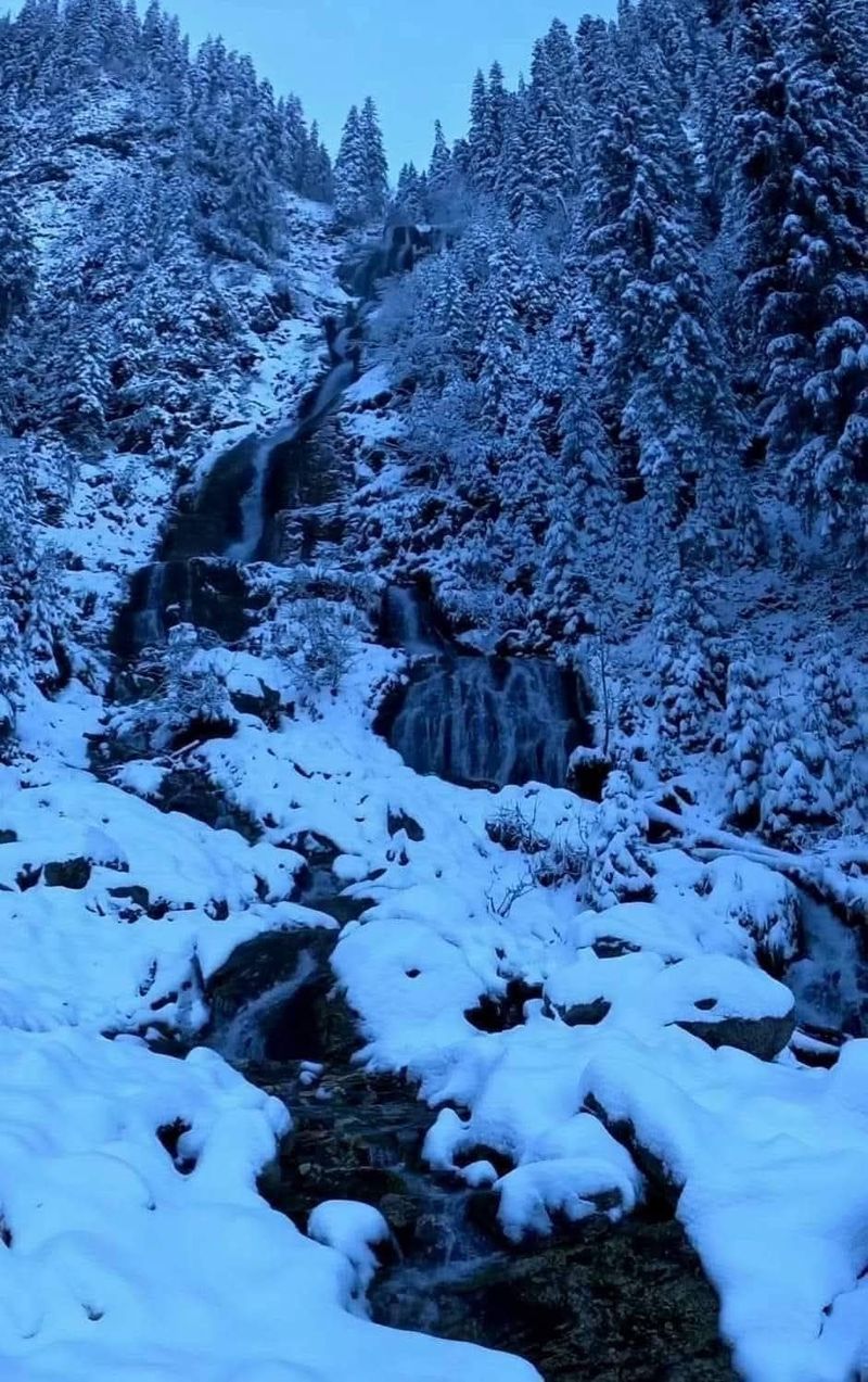 Cea mai înaltă cascadă din România se află în Maramureș: Apa adunată ...