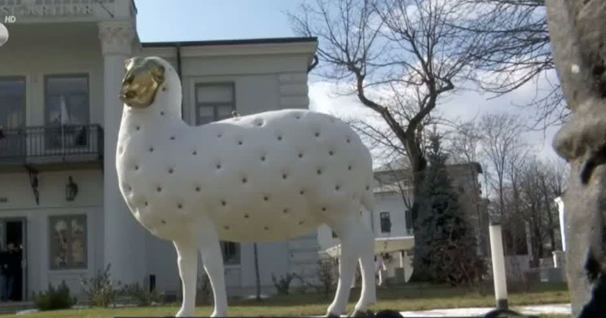 VIDEO „Nu mi se pare deloc frumoasă”. Dezbatere artistică încinsă la ...