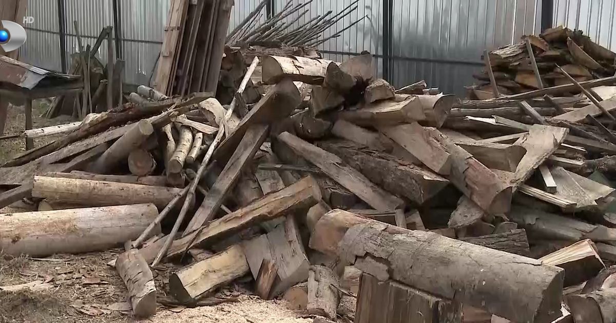 VIDEO „Merg în pădure să aduc vreascuri”. Gerul i-a lăsat fără lemne ...