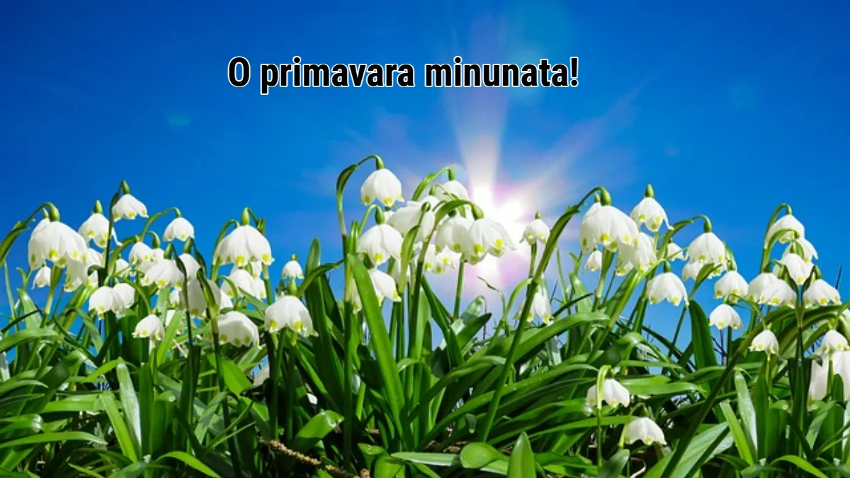 La mulți ani de 1 Martie 2025: Felicitări și mesaje cu o primăvară ...