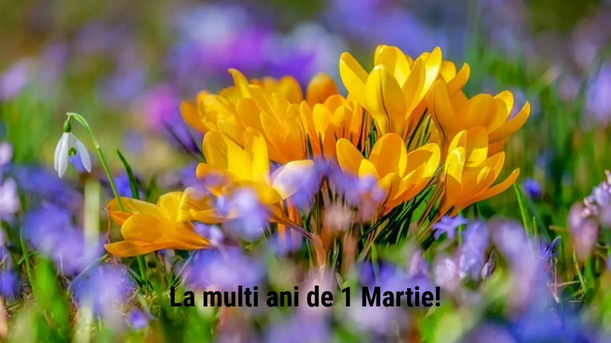 Felicitări de 1 Martie 2025 și mesaje de Mărțișor 2025: ”Să ai parte de ...