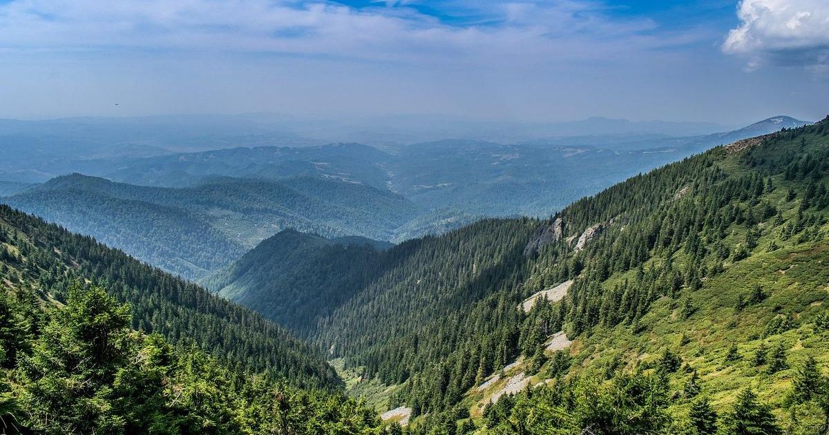 5 lucruri pe care este bine să le știm despre Munții Țibleș din ...